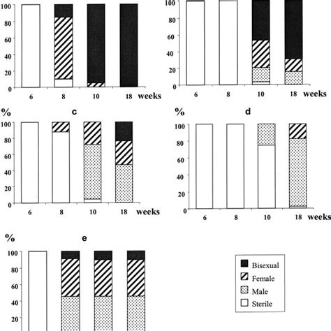 Progression Of Sex Expression Of Pteris Percentage Of Gametophytes By