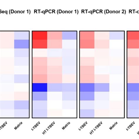 figure a2 validation of selected genes identified by rna seq through