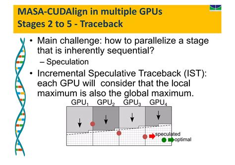 Parallel Biological Sequence Comparison In Gpu Platforms Ppt