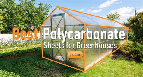 Best Greenhouse Polycarbonate Sheets Solid Versus Twinwall