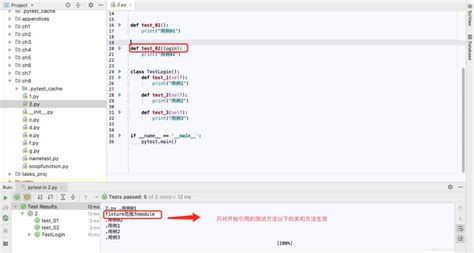 Pytest Fixture参数讲解及使用使用 Pytest 内置 Fixtures 传递数据 Csdn博客