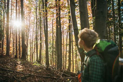 슬로바키아 말라 파트라의 산 숲을 걷고 있는 십대 소년 배낭 여행자가 햇볕을 즐기고 있습니다 모험과 야외 탐험을 즐기는 활동적인 십대 가족 활동과 자연 애호가에게 적합합니다