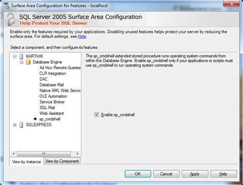 Sql Server Integration Services Ssis Executing Ssis Package From