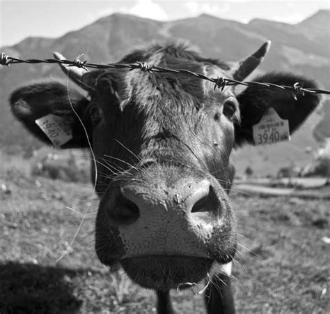 About Nicholas Shirley Medium