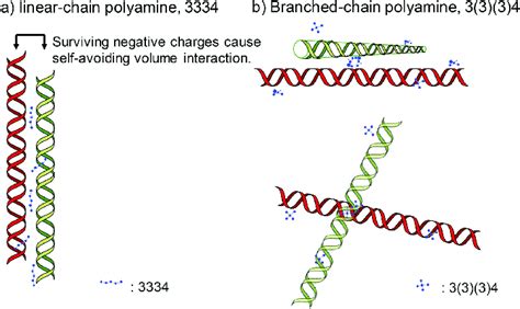 Schematic Illustration Of Different Modes Of Interaction Between Download Scientific Diagram