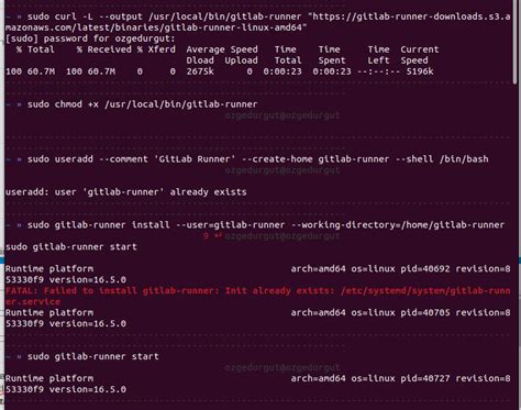 Docker And Gitlab Runner GitLab CI CD GitLab Forum