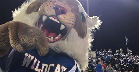 Wildcat Makeover Campaign Under Way To Update Ths Mascots Willie And