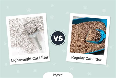 Lightweight Vs Regular Cat Litter 2025 Comparison Which One Is Better For My Cat Hepper