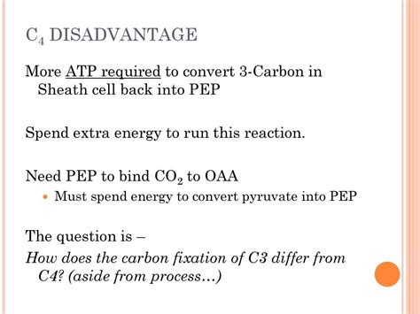UNIT PHOTOSYNTHESIS Ppt Download