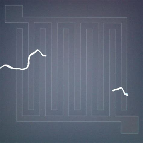 Lastdatasets Object Detection Dataset By Yongjiyeong