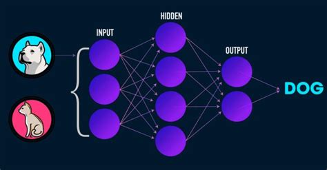 “how To Build Your Own Neural Network From Scratch In Python” By James