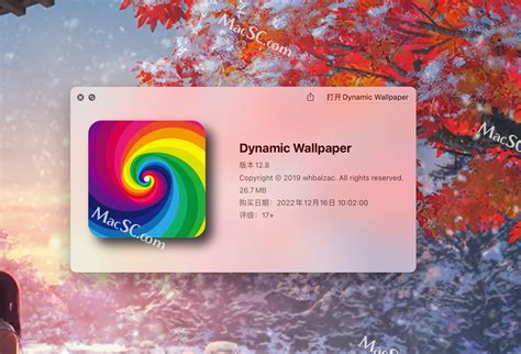 Dynamic Wallpaper For Mac Mac动态壁纸桌面 V12 8最新中文版 哔哩哔哩