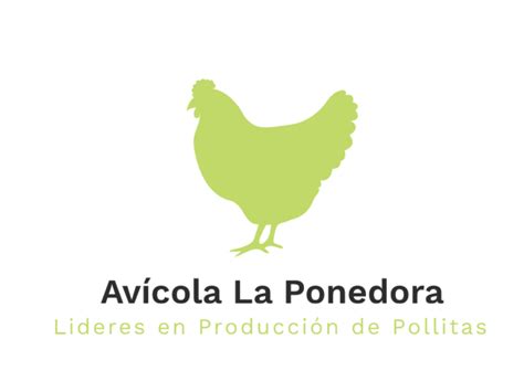 Término Y Condiciones Avícola La Ponedora