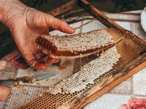 Ultimate Guide To Aspnet Mvc Sample Projects And Development Questions