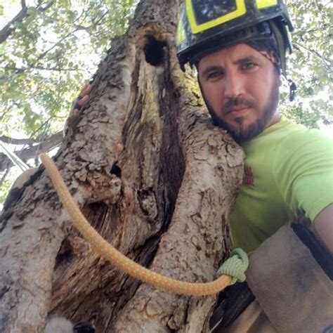 5 Fast Growing Trees That Thrive In Texas Arbor Leaf Tree Care