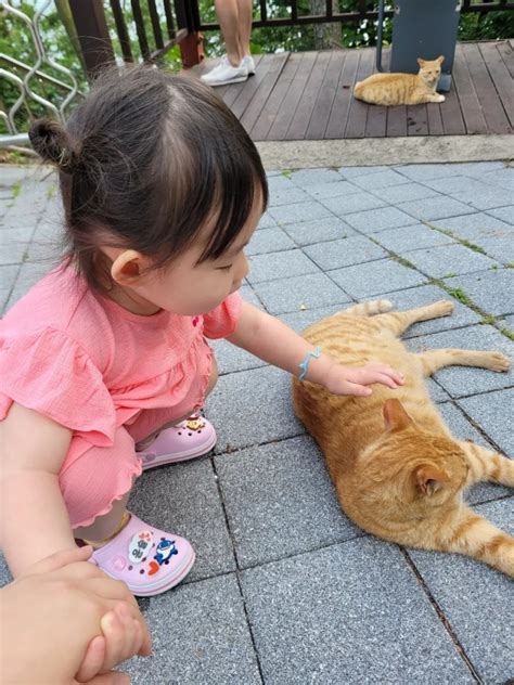 31개월 아기 크록스 Led 네임 지비츠 Feat 소롯 네이버 블로그