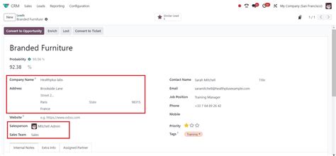 How To Convert Leads Into Tickets Using Odoo CRM