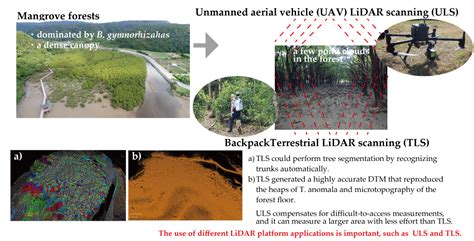 Suitable Lidar Platform For Measuring The 3d Structure Of Mangrove Forests