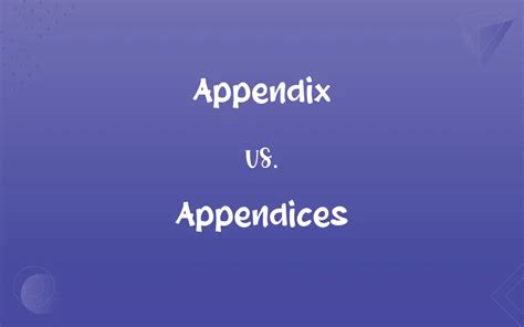 Appendix Vs Appendices Whats The Difference