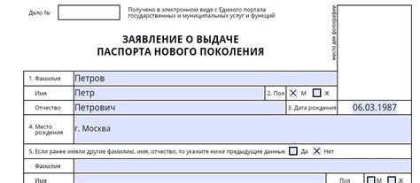 Пример Заполнения Заявление О Выдаче Паспорта Нового Поколения Barslibrary