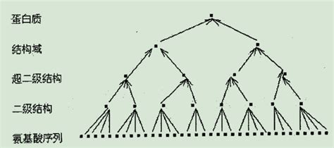 核磁共振之多肽、蛋白质结构功能篇（nmr） 知乎