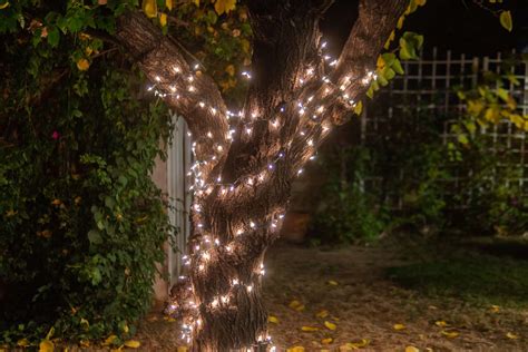 Exterior Lights Stringing Tree