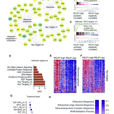 Analyses Of Gene Expression In Rna Seq Datasets Of Tnbc Patients