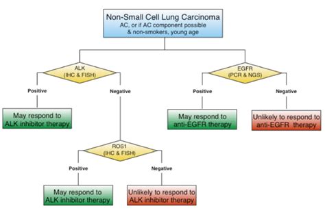 Proposed Algorithm For Molecular Testing In Nsclc Adapted From Download Scientific Diagram