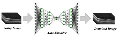 Do Image Processing Classification And Model Deployment By Fahimshahria608 Fiverr