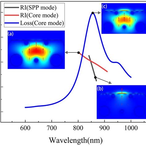 A Cross Section Of The Proposed D Shaped Pcf Sensor Model B Schematic Download Scientific
