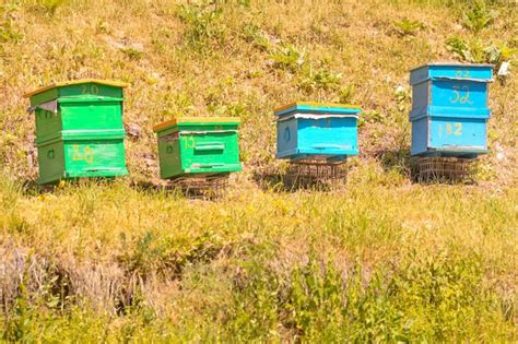 Premium Photo Colorful Bee Houses On A Small Apiary In A Clearing With Grass Beekeeping Concept