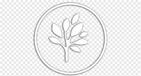 잎 원 라인 아트 화이트 흑백 나무 손 재료 기호 검정색과 흰색 원 손 Png Pngwing