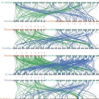 Covariance Analysis And Ks Distribution Of BZIP Replication Genes In Download Scientific