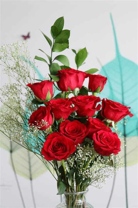 관상용 식물 국화 꽃 꽃 장식 꽃꽂이 꽃다발 꽃병 꽃이 피는 꽃잎 녹지 부드러운 색상 팔레트 분홍색 꽃 생화 섬세한 꽃 소프트 핑크 식물의 실내