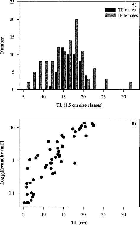 Sparisoma Radians A Sex Size Distribution On Patch Reef Habitats