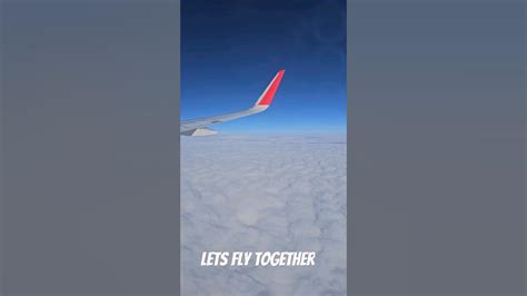 Lets Fly Together Airview Amazingshorts Plqnfortrading Youtube