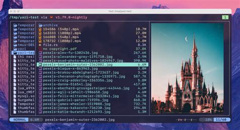 Install Yazi Blazing Fast Terminal File Manage On Linux Snap Store