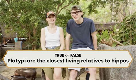 White Lotus Season 3 Cast Met Moo Deng The Hippo While Filming In