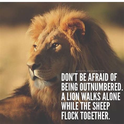 Image Result For Dont Be Afraid Of Being Outnumbered A Lion Walks Alone While The Sheep Flock