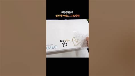 실루엣카메오 고양이 캐릭터 컷팅하고 붙이기 안꼬 안경낀 고양이 프로크리에이트 Youtube