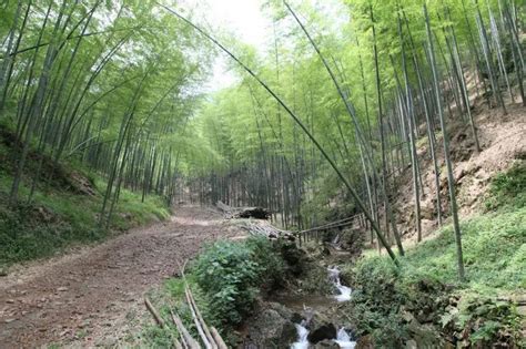 长兴贡茶古道 贡茶古道 古道茶馆 大山谷图库
