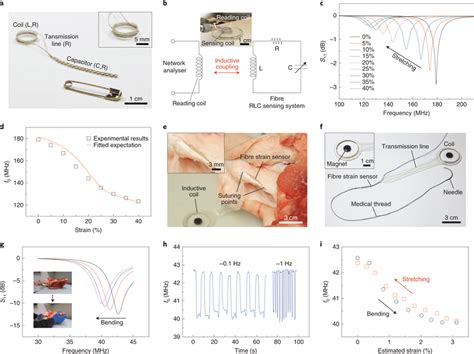 Characterization And Ex Vivo Demonstration Of A Wireless Fibre