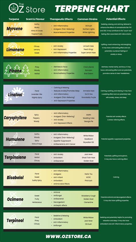 Uncovering The Secrets Of Cannabis Terpenes Oz Store