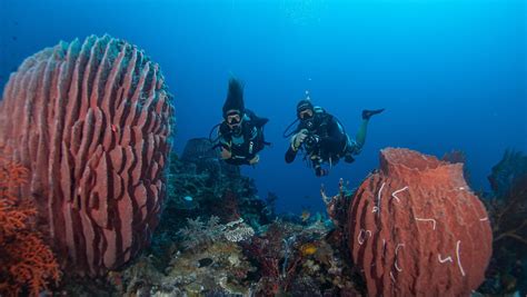 Explore Our Boat Through Snapshots Jakare Liveaboard