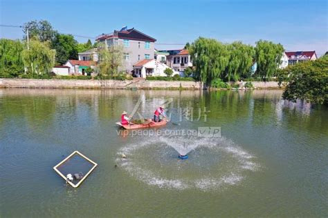 浙江长兴巡河护水 美化家园 人民图片网