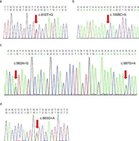confirmation of inconsistent genotypes detected using sanger