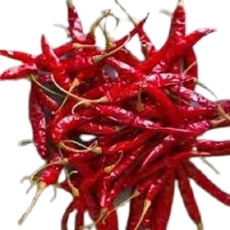 Stick Dried Spicy A Grade Raw Red Chilli At Best Price In Kanchipuram