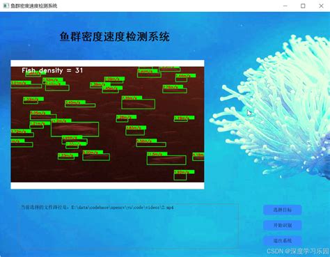基于opencv的鱼群检测和数量统计识别鱼群密度带界面深度学习实战项目 Csdn专栏