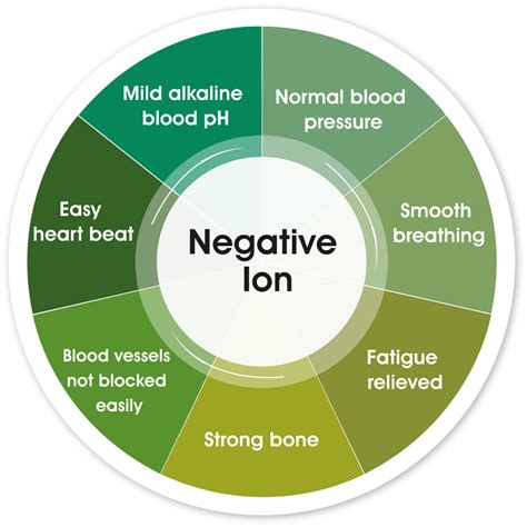 Negative Ions Pastordx