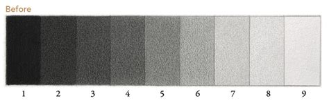 Practice Value Scale